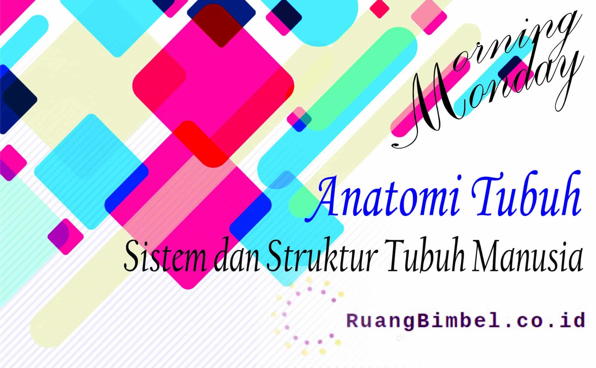Anatomi Tubuh : Mengenal Semua Sistem dan Strukturnya