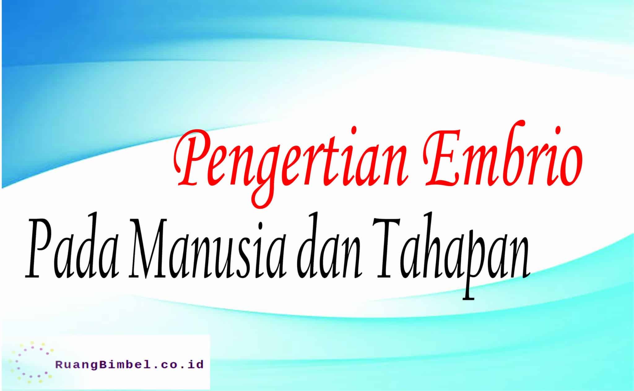 Pengertian Embrio Pada Manusia dan Tahapan - RuangBimbel.co.id