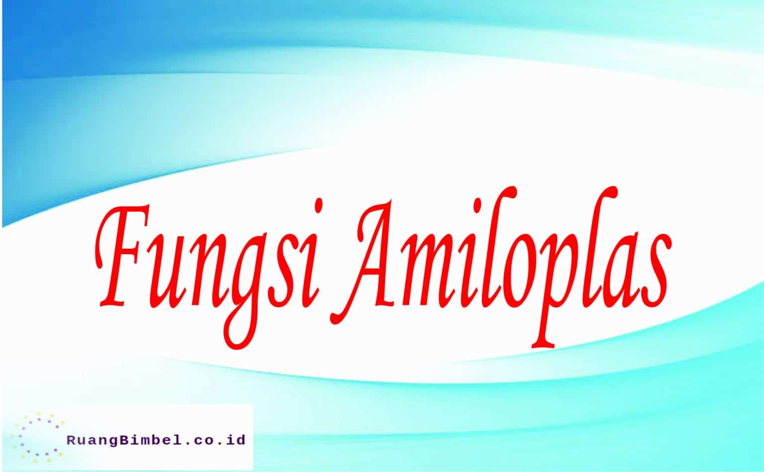 Fungsi Amiloplas Pada Tumbuhan ; Pengertian, Ciri, Jenisnya