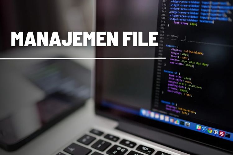backup dan manajemen file